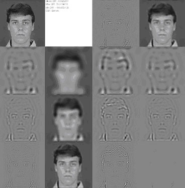 Contrast Perception and Modeling